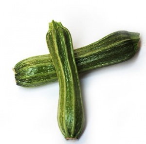 COURGETTE Romanesco semeur