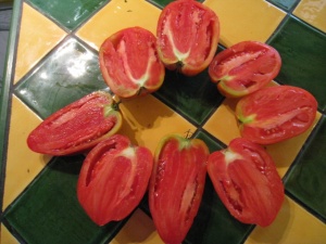 Tomate Howard German Paste op semeur