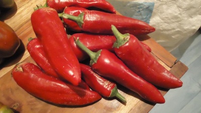 Piment paprika boldog semeur